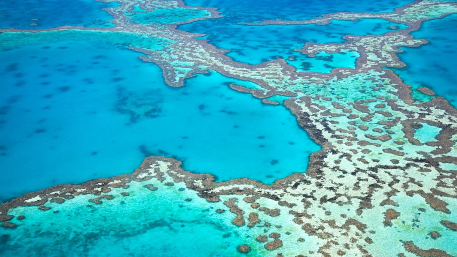 The Great Barrier Reef From Space: A Unique Perspective on Biodiversity ...