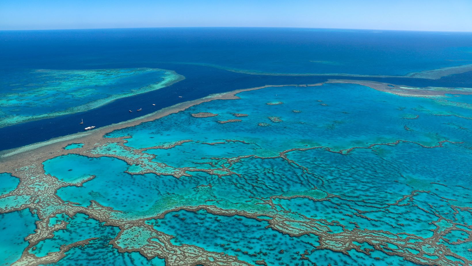 The Great Barrier Reef From Space: A Unique Perspective on Biodiversity ...