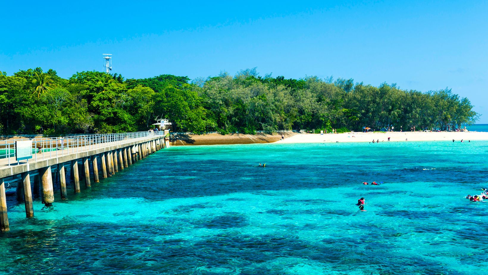 Exploring Abiotic Factors in the Great Barrier Reef: Key to Ecosystem ...